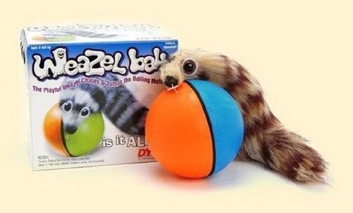 Furry Weasel Ball - Funny Moving Dog Cat Battery Operated Toy | eBay