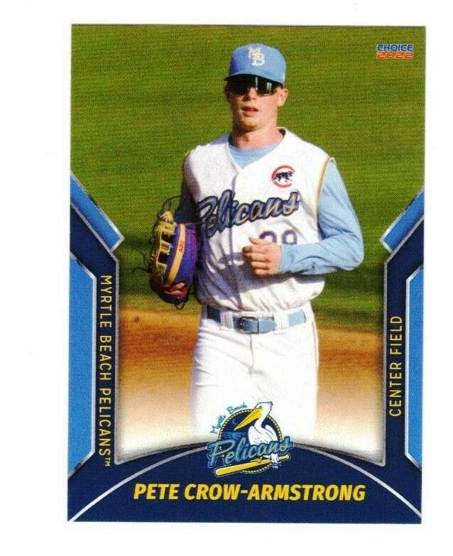 2022 MYRTLE BEACH PELICANS TEAM SET 40 CARDS NEW COMPLETE PETE CROW ...