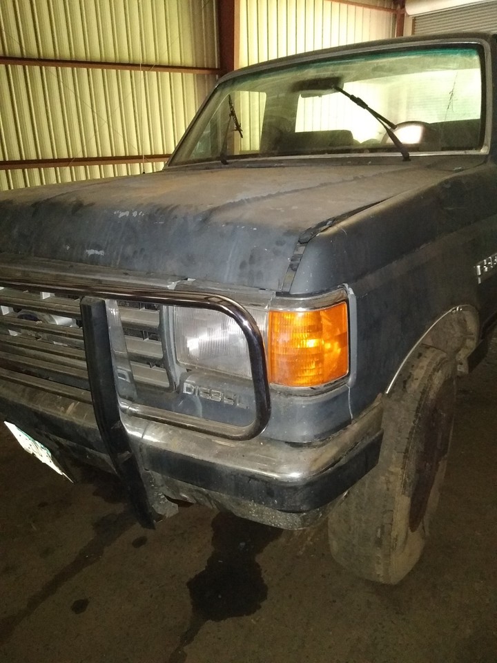 Ford F250 ZF5 2WD Manual Transmission 5 speed 1988 F250 F350 7.3 IDI ...