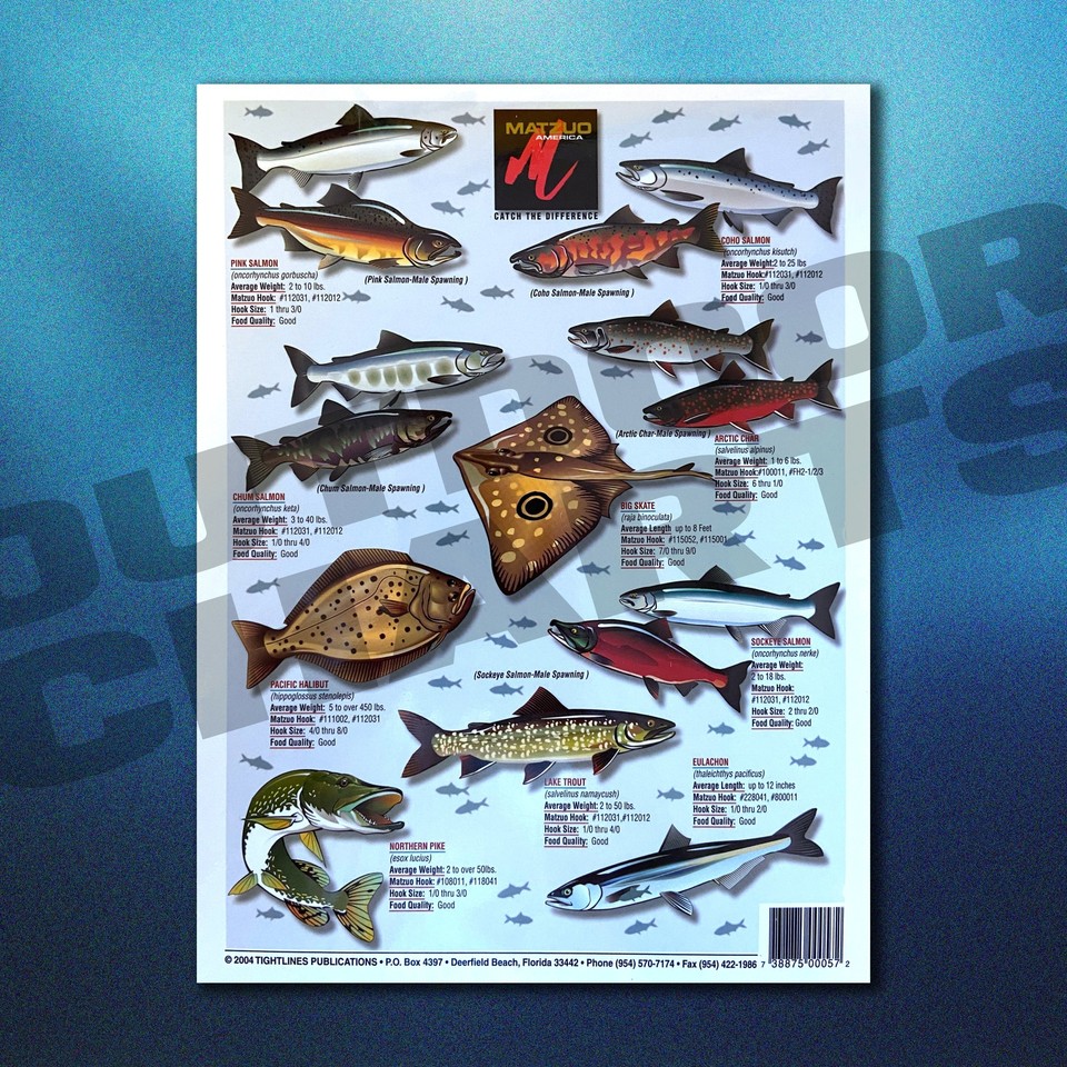 Fish of Alaska Species Identification #16 (Freshwater & Saltwater ...
