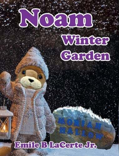 Noam Winter Garden by Jr. Lacerte, Emile B: New 9781638441694| eBay