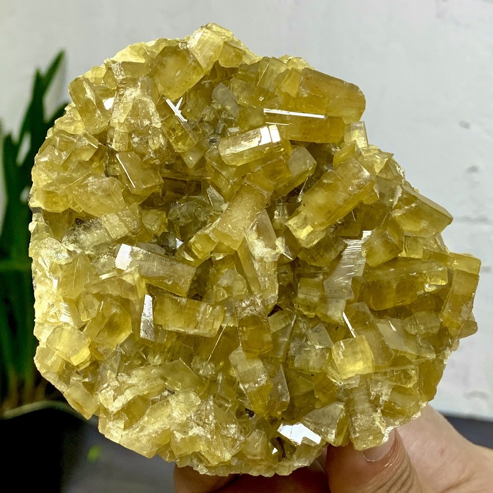 1.83LB Shiny Golden Cuboid Barite Crystal Based on the Purple Spherical ...