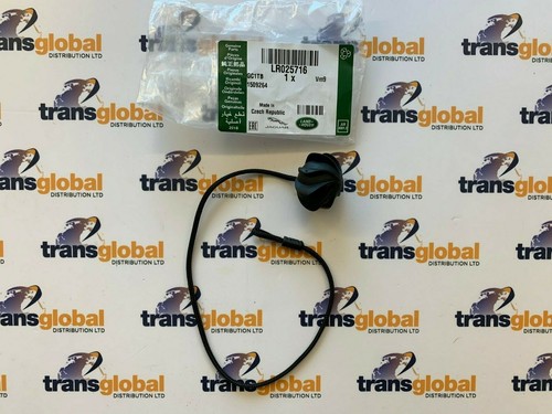 Range Rover Evoque Load Compartment Parcel Shelf String GENUINE LR ...