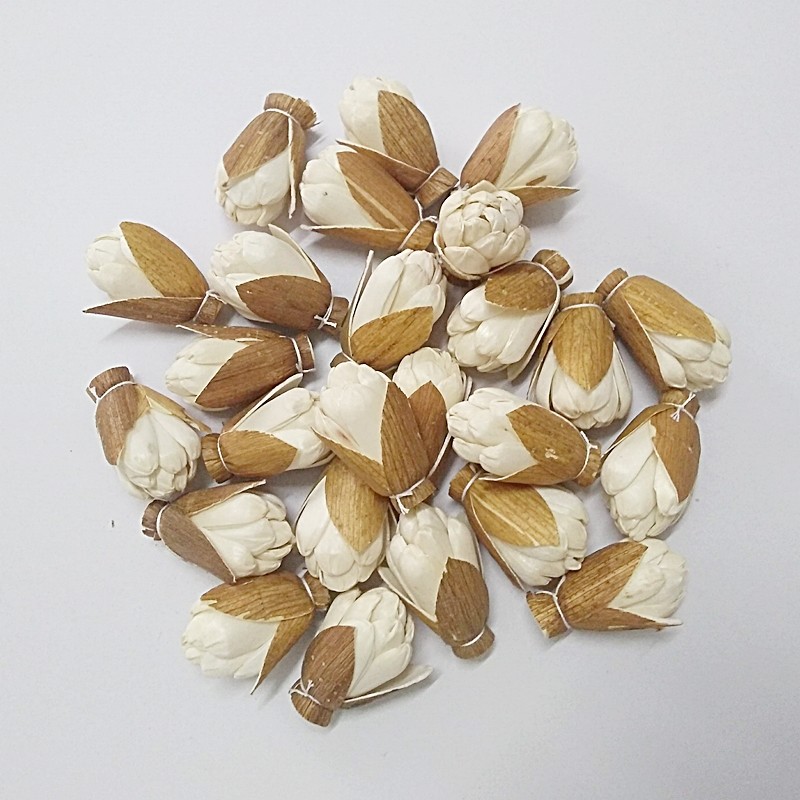 Artificial Ginger Dried Flower Reed Diffuser Decor DIY Fragrance Lot ...