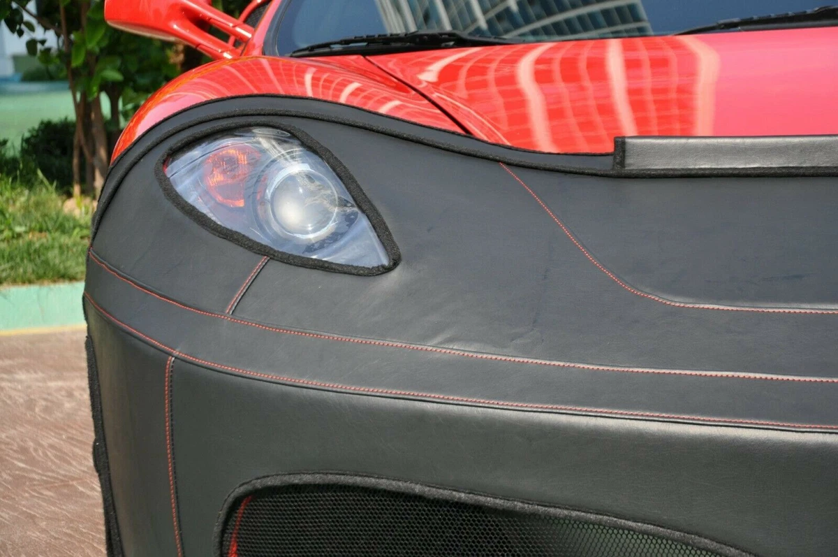 What's the Point of a Car Bra?