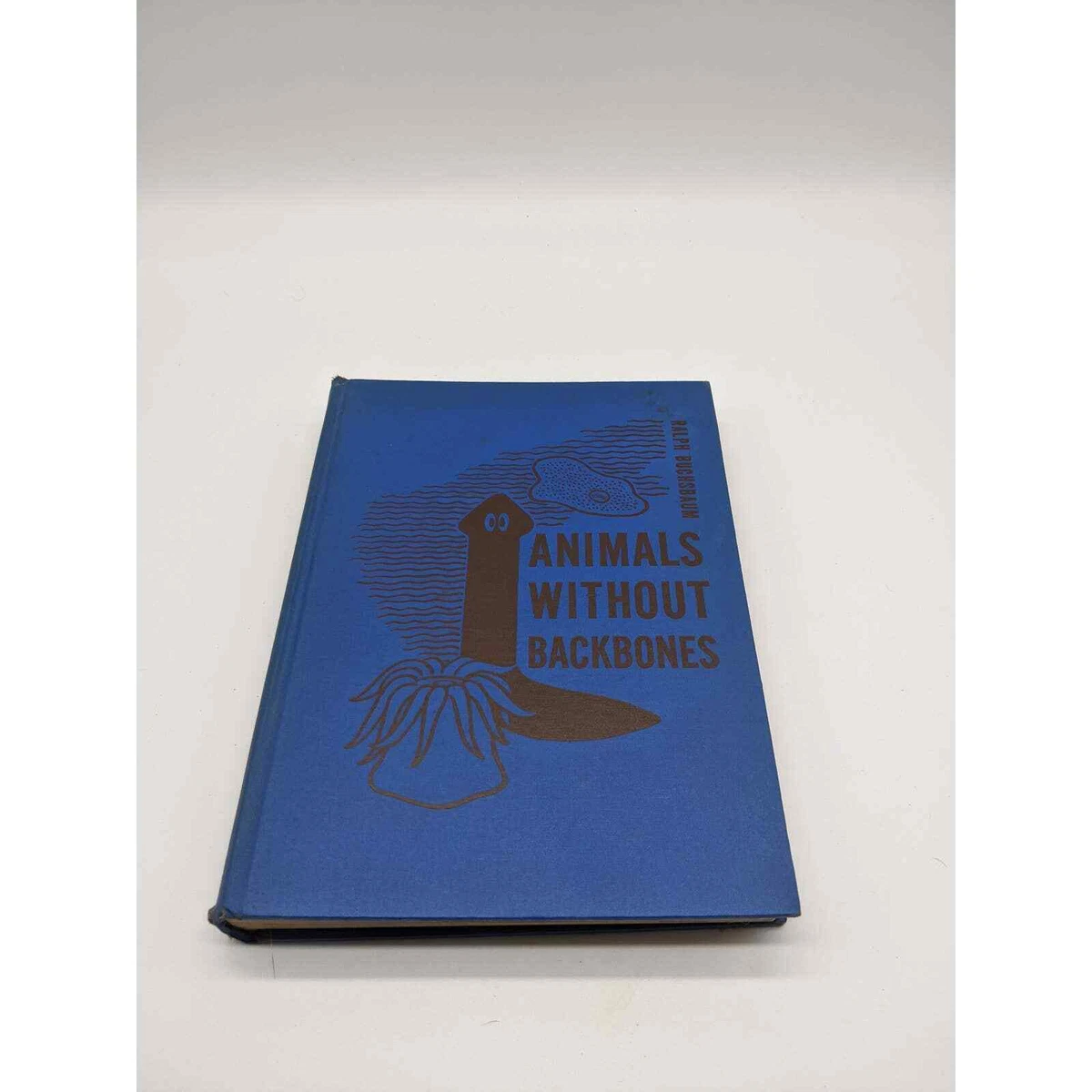 Animals Without Backbones Book