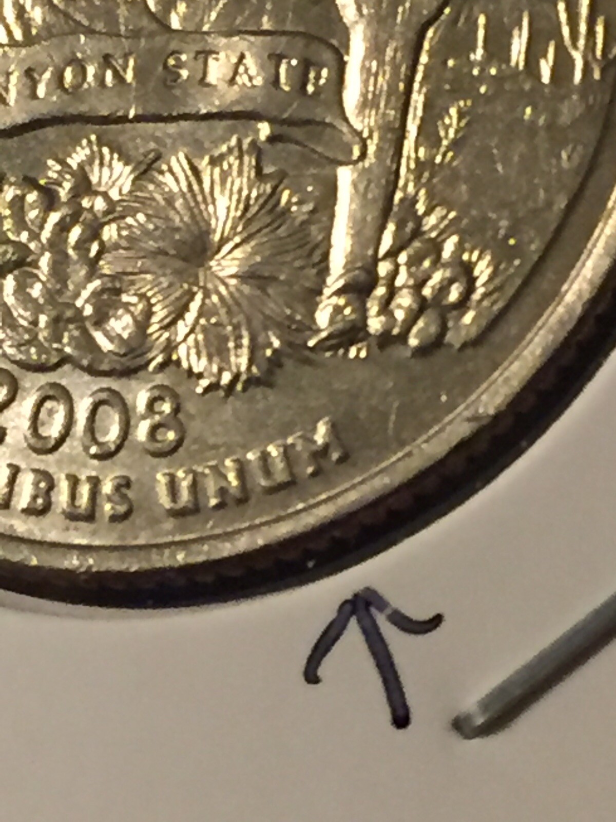 2008 P Arizona Quarter(Die Error) “”””””Extra Cactus Leaf”””””””” | eBay
