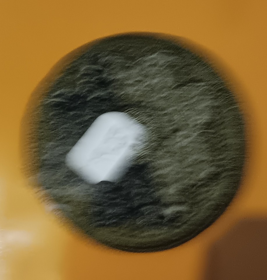 Vietnam War US Army 9th Infantry Division Patch Twill Subdued KB ...186 ...