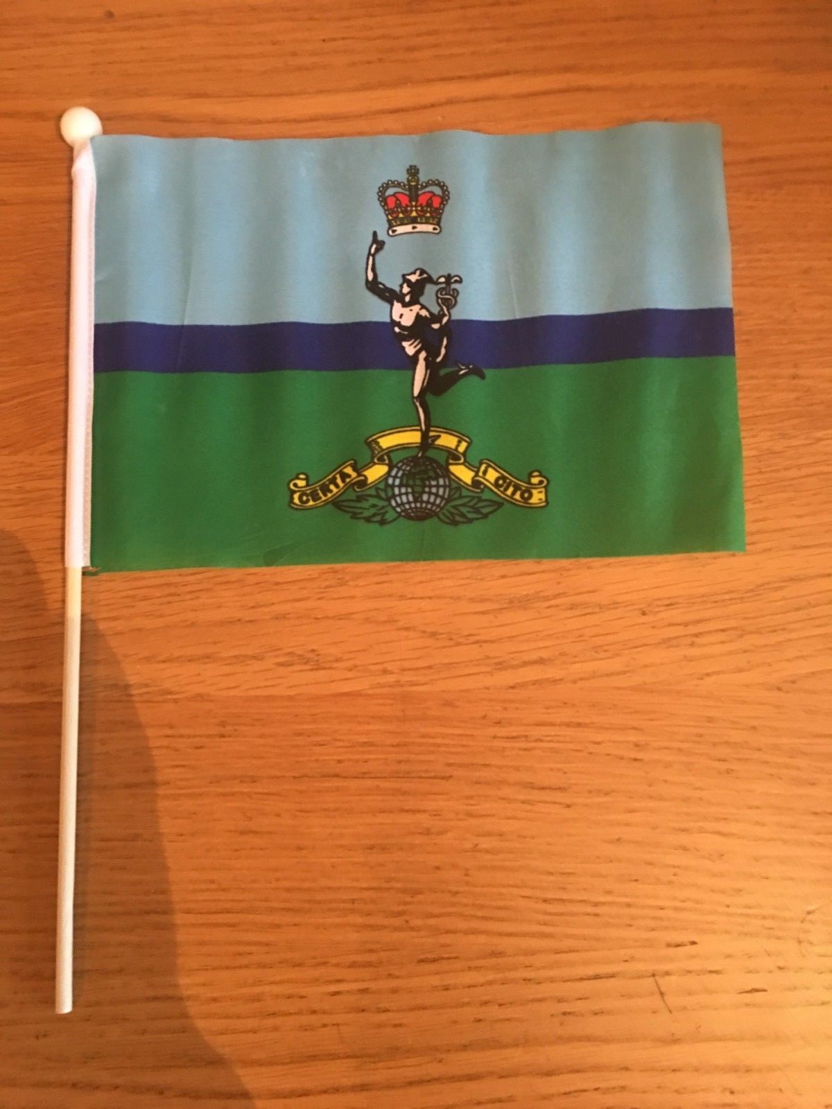 ROYAL SIGNAL CORPS Pack of 12 medium Hand Flags 9" x 6" 22cm x 15cm ...