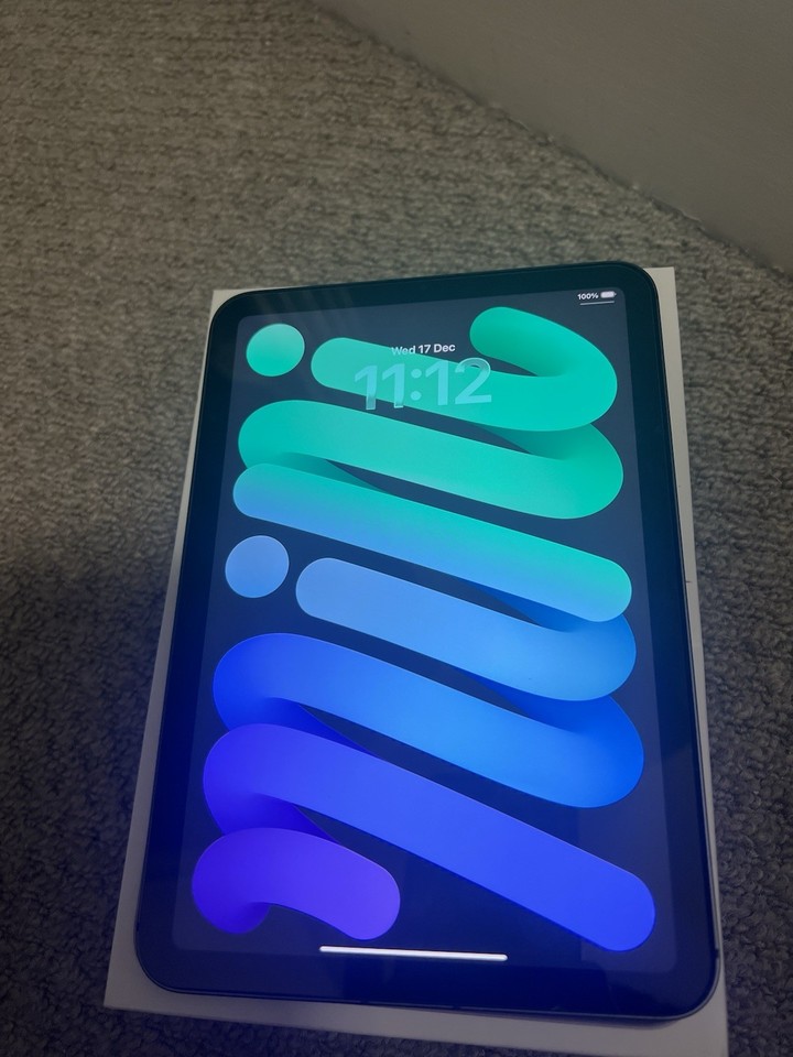 iPad Mini 6 WiFi + Cellular Raffle 64GB Space Grey 2021 | eBay UK