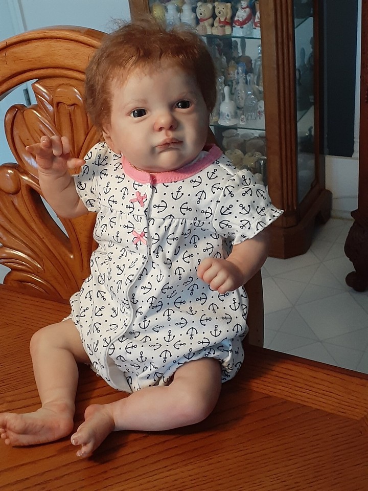 REBORN DOLL AURORA SKY | eBay