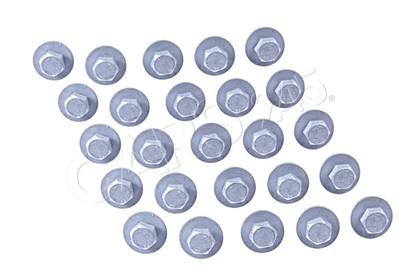 Genuine BMW Multipurpose Hex Bolts with Washers M6X12 8.8 25 Pcs ...