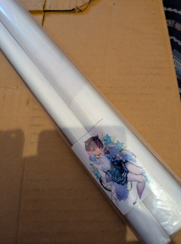 y9 Tapestry Holrocket Makaron Daitei B2 VTuber Minato Aqua New Costume Unused W | eBay