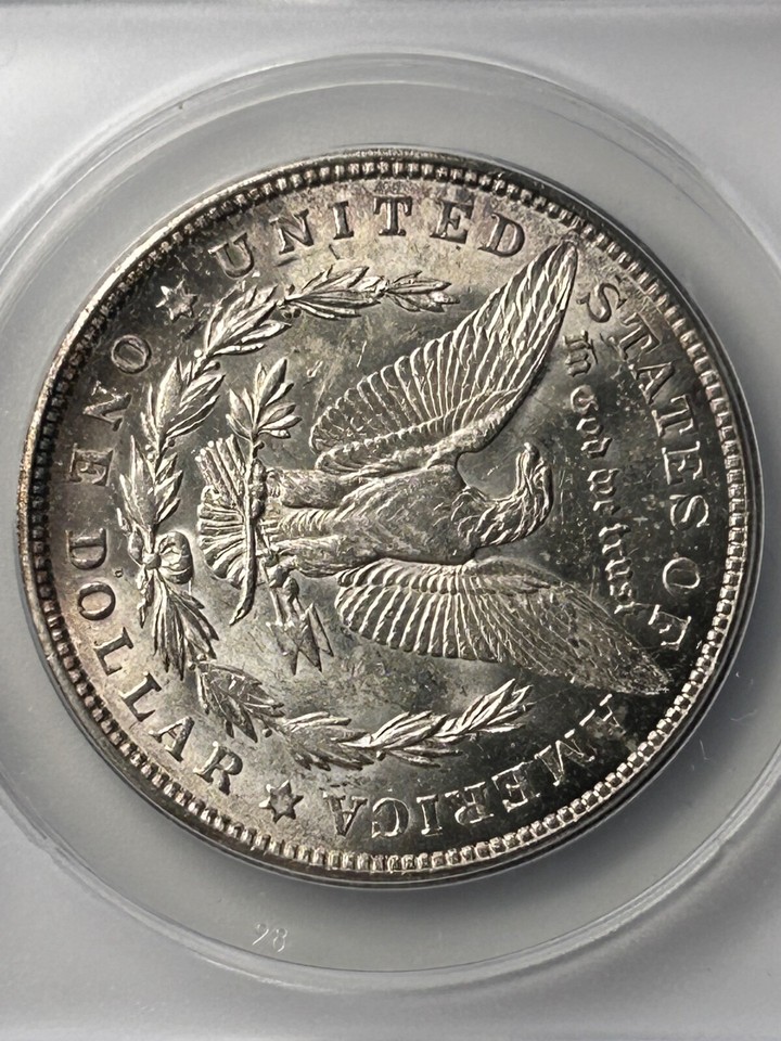 1921 D Morgan Silver Dollar ANACS MS62 Crusty Toner/Only D Mint Morgan ...