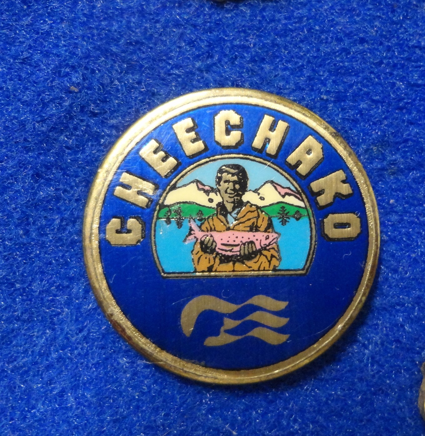 Princess Cruise Lines Ship Cheechako Native Alaska Salmon Fishing Fish ...