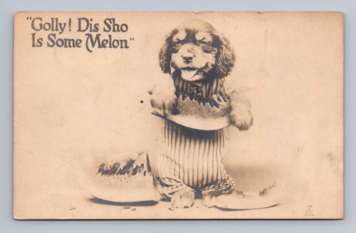 Dressed Puppy Dog Eating Watermelon "Golly!" RPPC Antique Stadler Photo ...