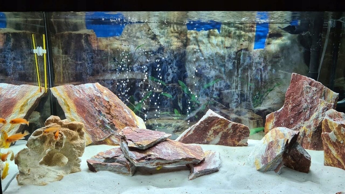 African Cichlid Tank Rocks