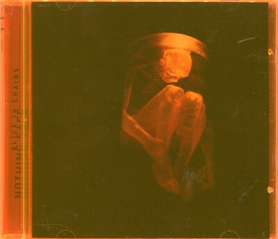 Nothing Safe by Alice in Chains (Music CD, Jun-1999, Sony Music USA ...