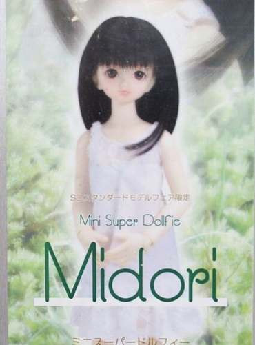 Volks MSD Mini Super Dollfie MIDORI BJD Doll SD Standard Model Limited RARE USED | eBay