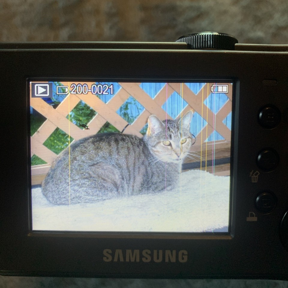 Samsung S730 7.2MP Compact Digital Camera - Black - READ - FREE SHIP ...