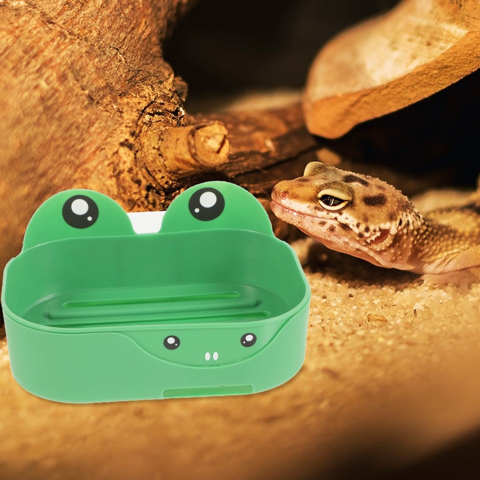 Plastic Frog Habitat Platform Delicate Reptile Rest Place Household ...