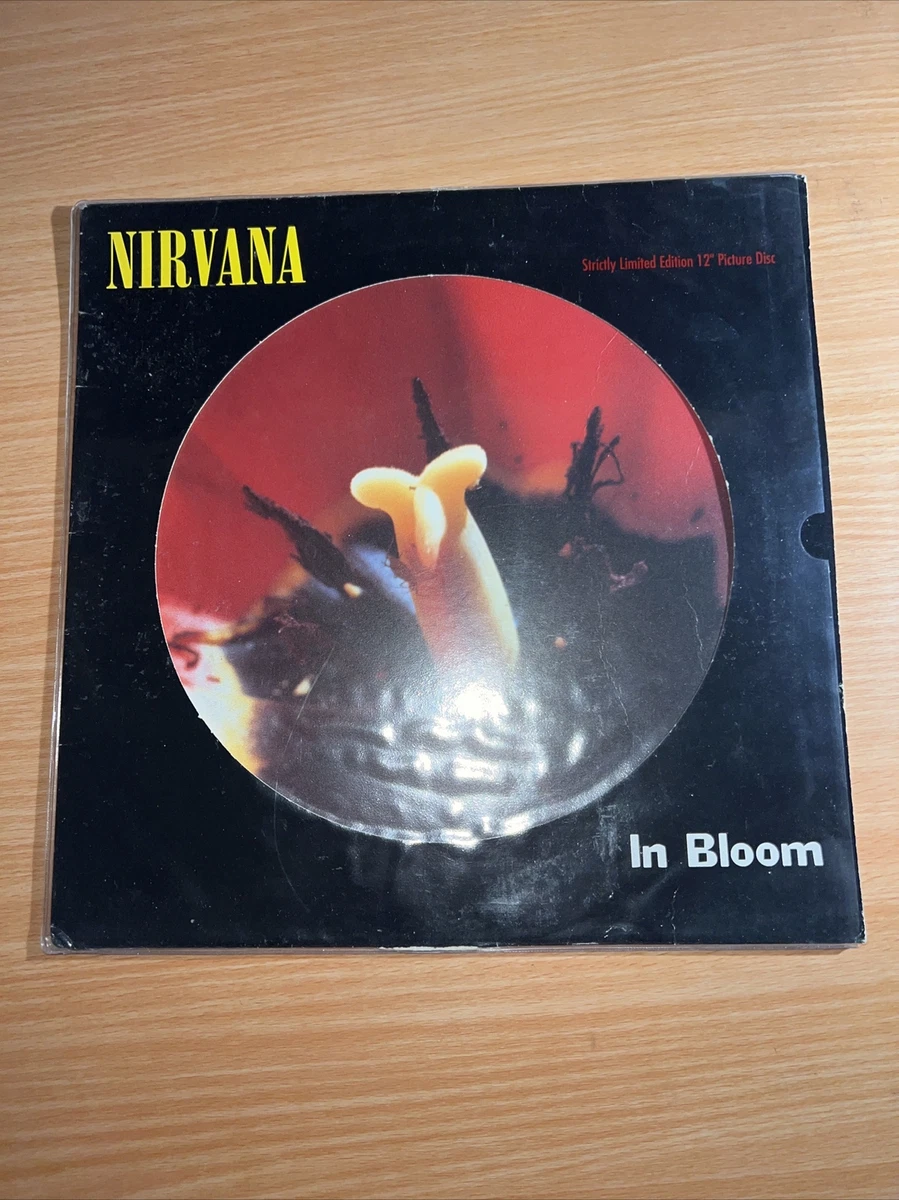 In Bloom Nirvana