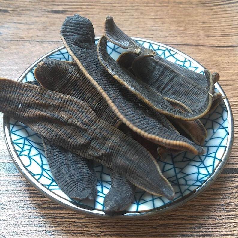 Hirudo A Draft Genome For Hirudo Verbana, The Medicinal Leech