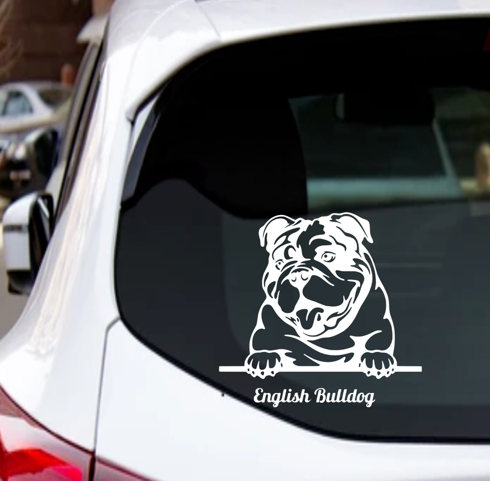 English Bulldog Decal Dog Car Truck Window Wall Laptop Sticker | eBay