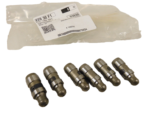 (C15) Orig. Poussoir de soupape VW AUDI SEAT SKODA 05L109521 (6 pièces ...