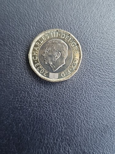 New Release One Pound BEES Coin King Charles 2023 £1 coin | eBay UK