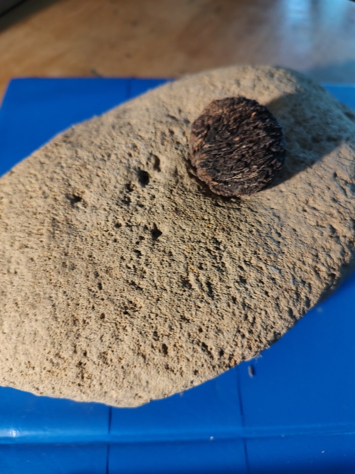 Native American nutting stone/fire starter southern Indiana authentic ...