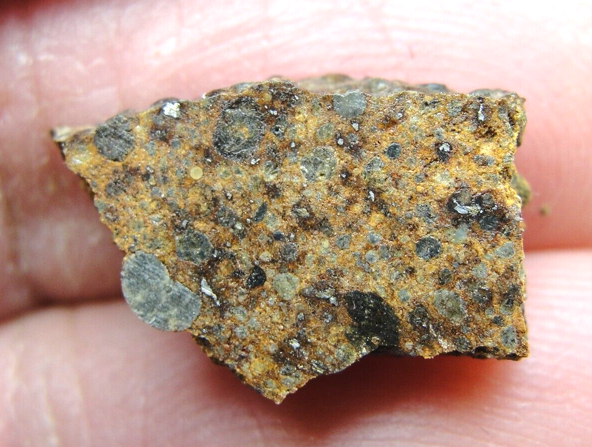 NWA 13200 Chondrite L3-W2-S2 Meteorite - G724-0156 - 1.43g - w/COA ...