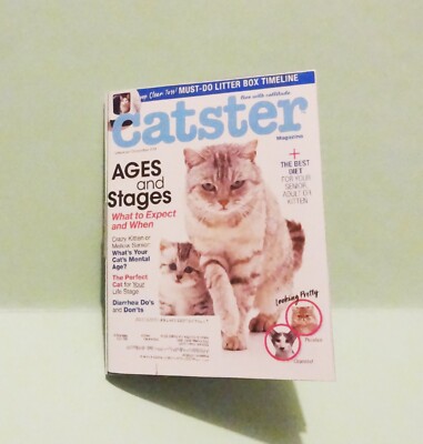 CATSTER mini-magazine for Tonner, Gene, other 16" dolls | eBay