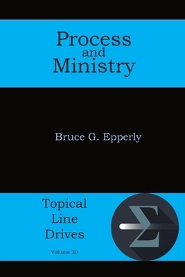 Process and Ministry Bruce G Epperly Paperback 9781631995415| eBay