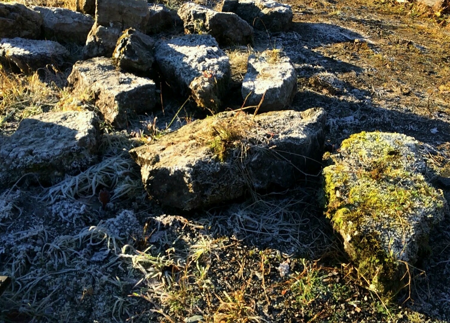 Waterworn Westmorland Limestone Rockery | eBay UK
