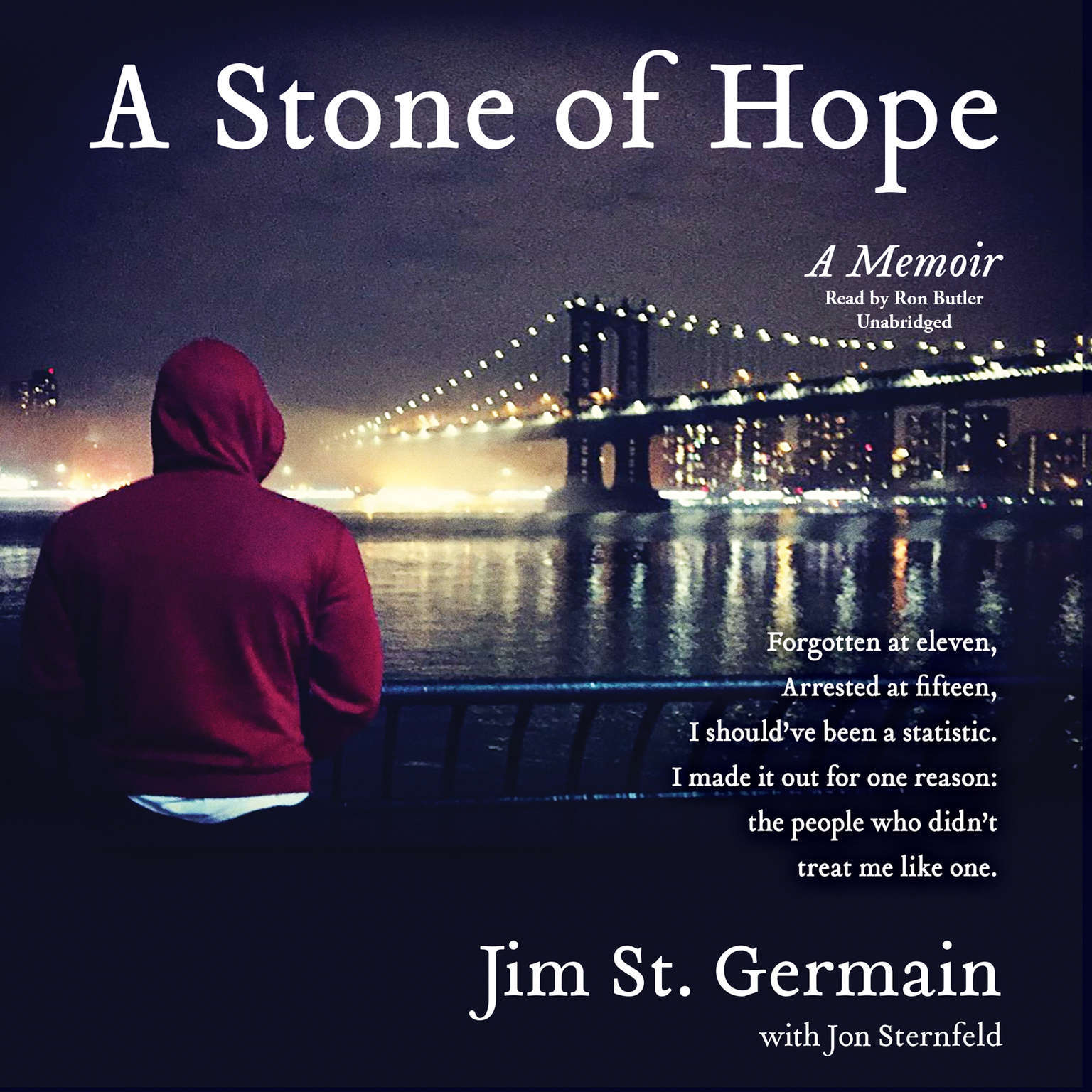 A Stone of Hope : A Memoir by Jon Sternfeld and Jim St. Germain (2017 ...