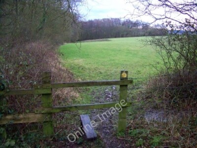 Photo 6x4 Footpath near Sandleheath Damerham The footpath takes walkers ...
