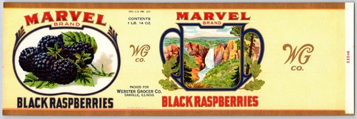 Marvel Black Raspberries Paper Can Label Webster Grocer Danville c1920 ...
