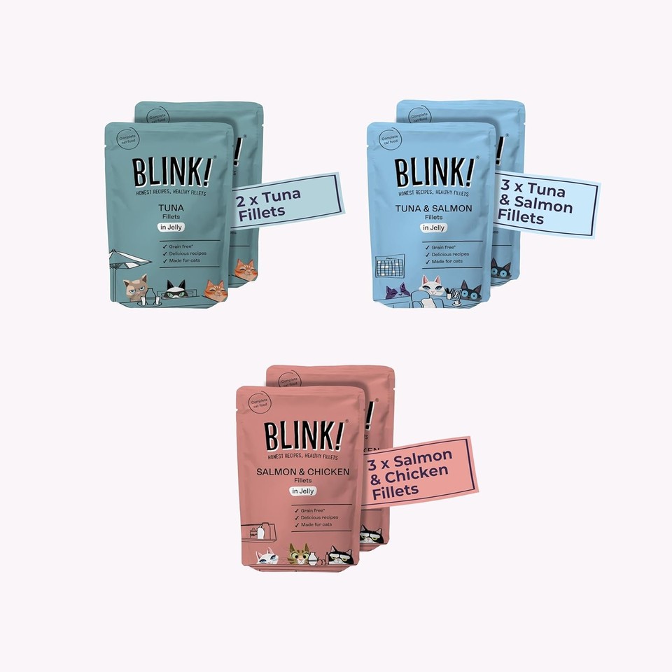 Blink! Fish Pouch Selection in Jelly 8 x 85 g 869320594701 | eBay UK