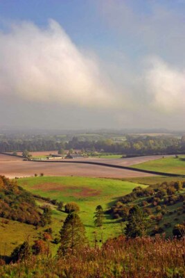 Wayfarers Walk Watership Down Kingsclere Wessex Downs Hampshire ...