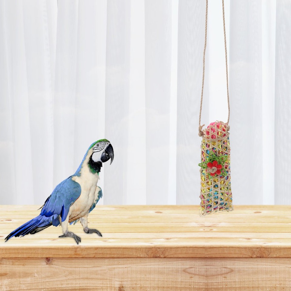 Funny Parrot Bit Toy Cage Hanging Swing Toy Colorful Pet Bird Game ...