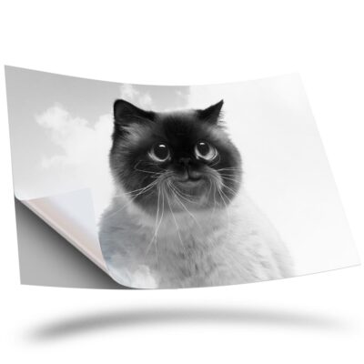 1 x Vinyl Sticker A2 - BW - Cute Happy Cat Kitten #40896 | eBay