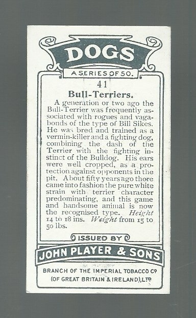 1924 JOHN PLAYER & SONS DOGS #41 BULL TERRIERS EX/MT+ RARE SET | eBay