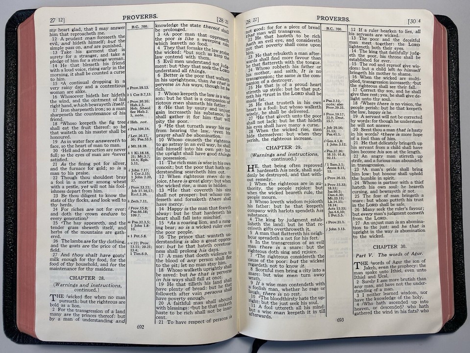 Vintage Oxford Scofield Reference Bible, Concordance, India Paper ...