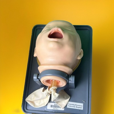 Rescusci Laerdal Neonatal Infant Intubation Trainer Model Manikin, With ...