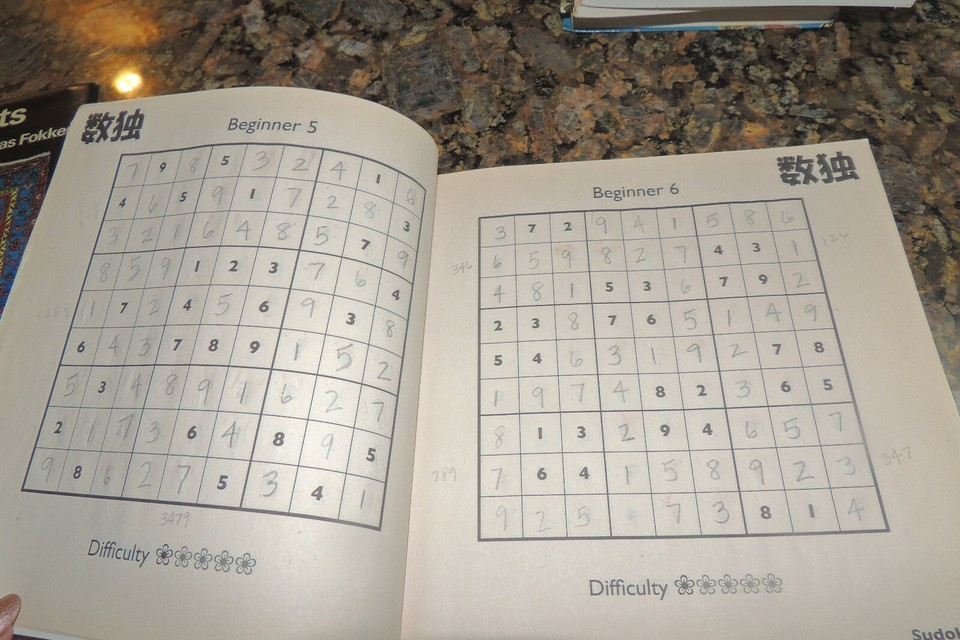 Sudoku: More than 200 Fun and Challenging Japanese Number Puzzles ...
