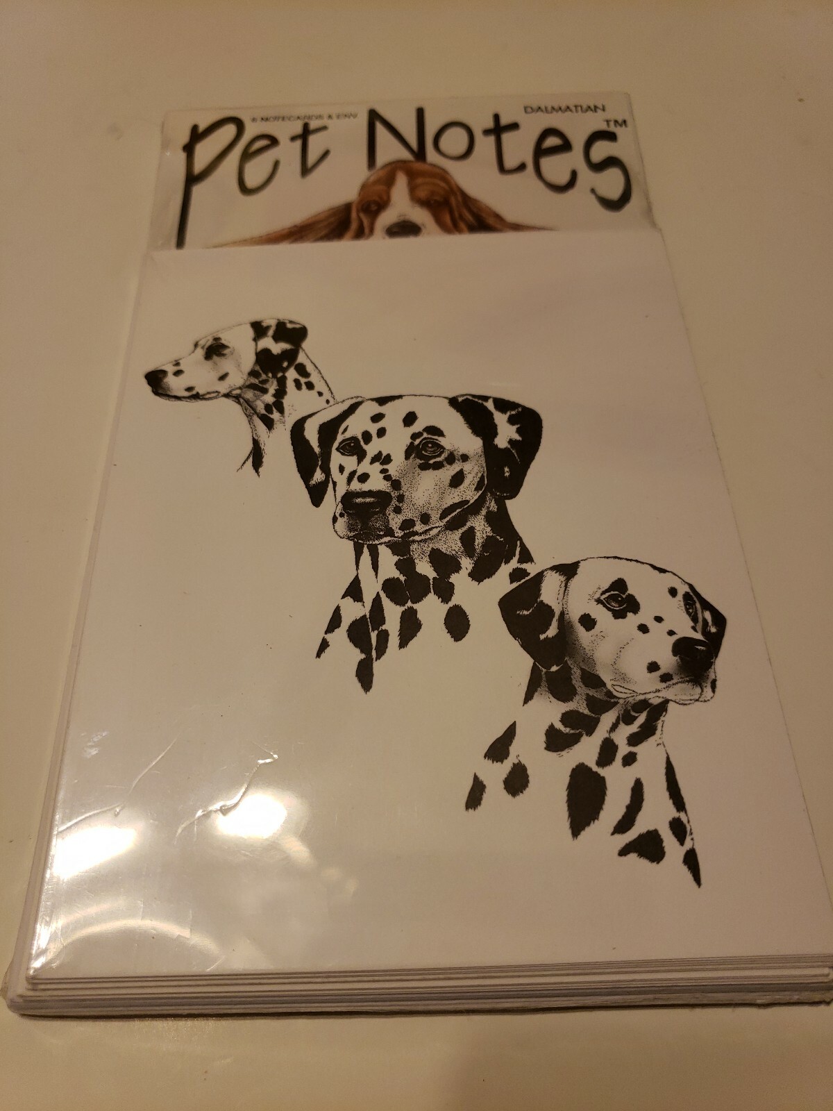 Dalmatian Pet Notes 6 Notecards with Envelopes New | eBay