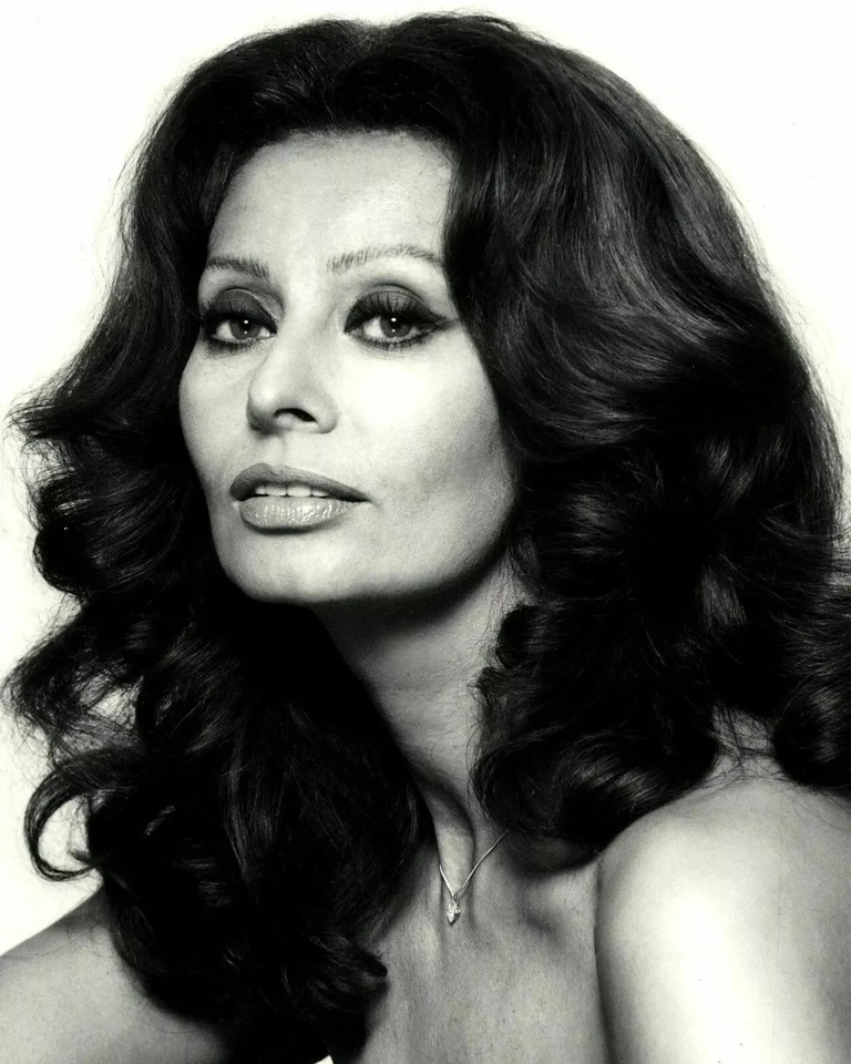 Sophia Loren Posing Headshot 4x6 Picture Celebrity Print | eBay