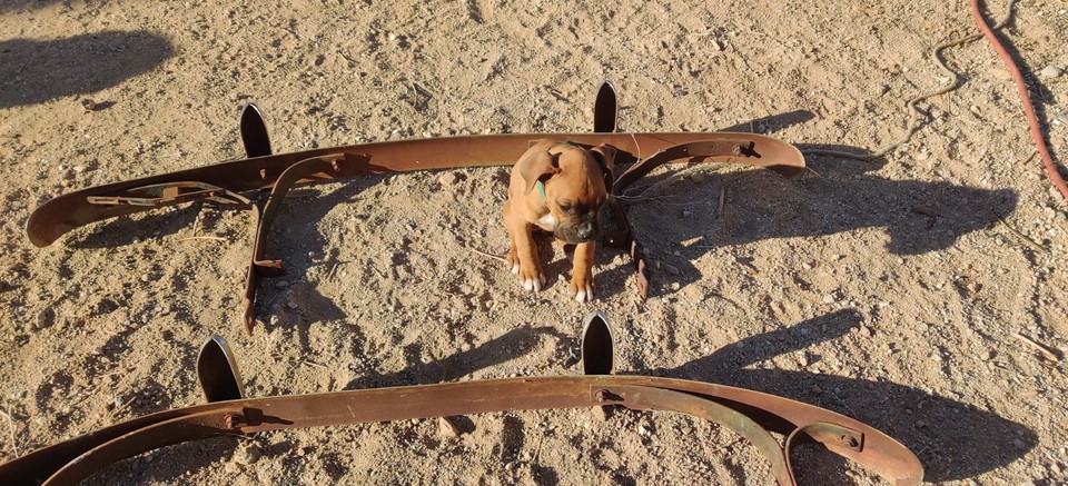 1940 1941 Willys Coupe Front & Rear Bumpers Complete | eBay