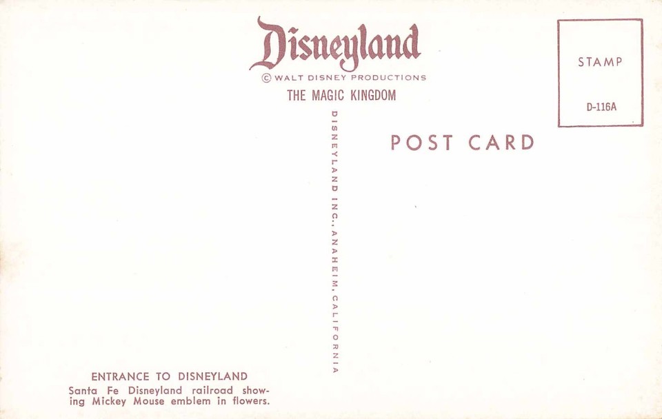 Disneyland Postcard Greetings From Disneyland Main Street Magic Kingdom ...
